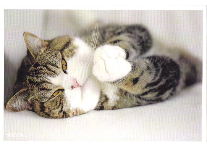 I Am Maru-Desu Postcard Book - Anime Books