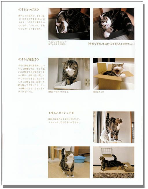 I Am Maru Photo Book - More, Maru. - Anime Books