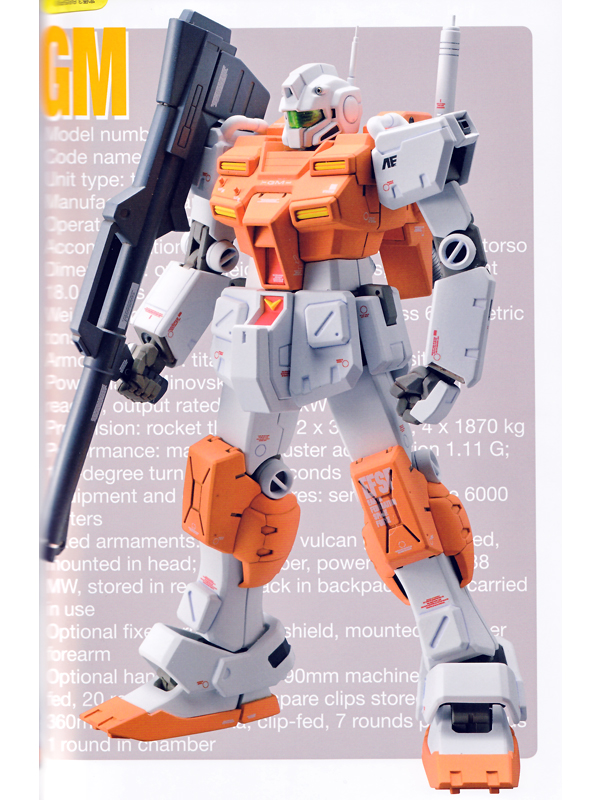 RGM Model Pictorial Book Model Graphix Special Edition Book - Anime Books