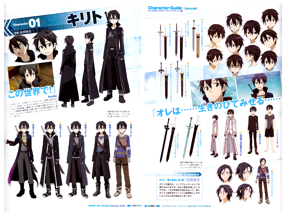 Sword Art Online the Perfect Guide: Animation Art Book - Anime Books