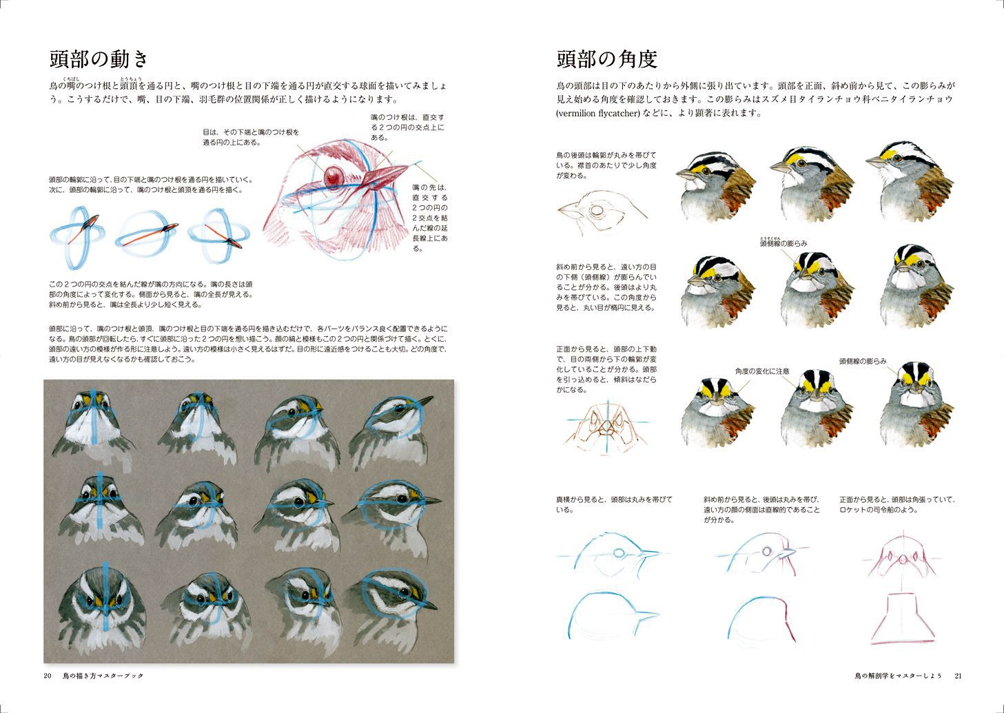 The Laws Guide to Drawing Birds Reference Book - Anime Books