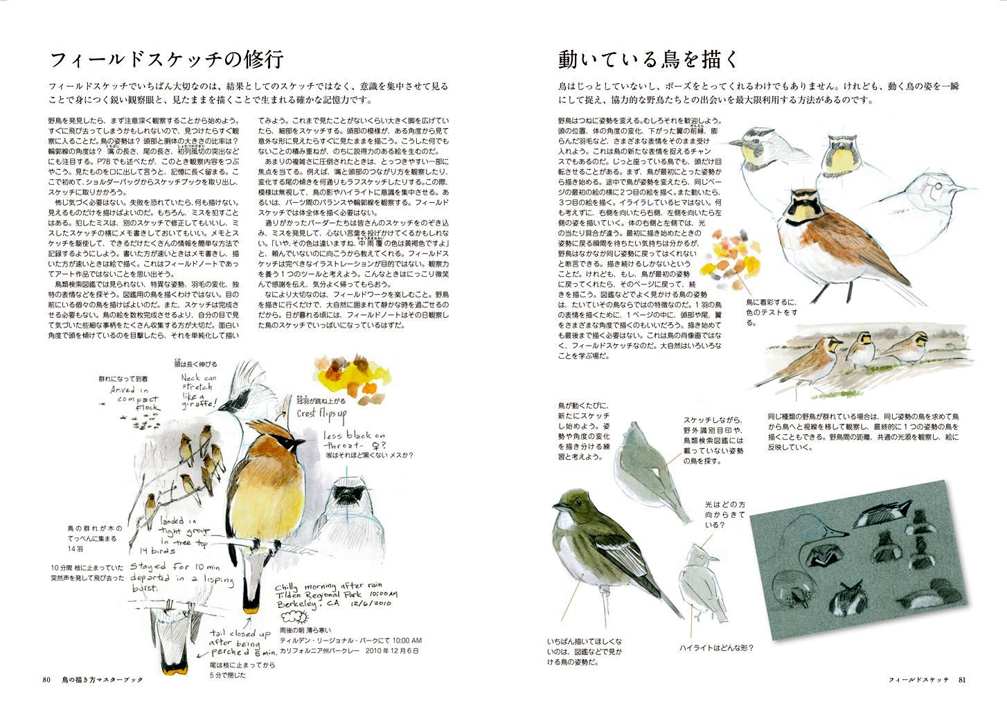 The Laws Guide to Drawing Birds Reference Book - Anime Books
