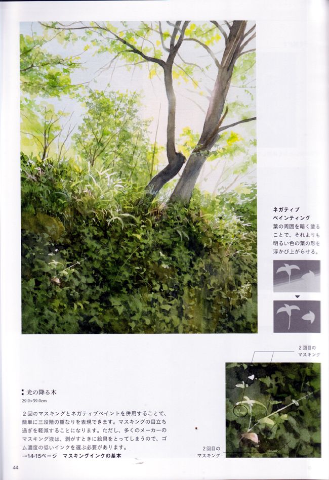 Watercolor Drawing Guide: Nature Reference Book - Anime Books