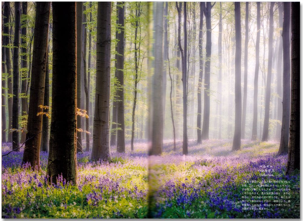 World of Greatest Fantastic Scenery Photo Background Reference Book ...