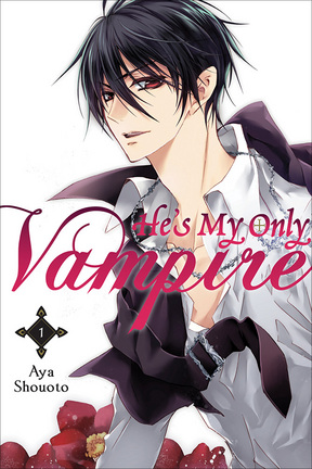 He's My Only Vampire Graphic Novels