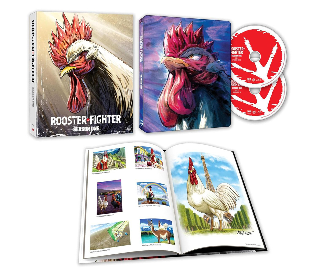 Rooster Fighter