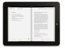 ARTBOOK Digital Ebook Edition A Brief History of Curating eBook