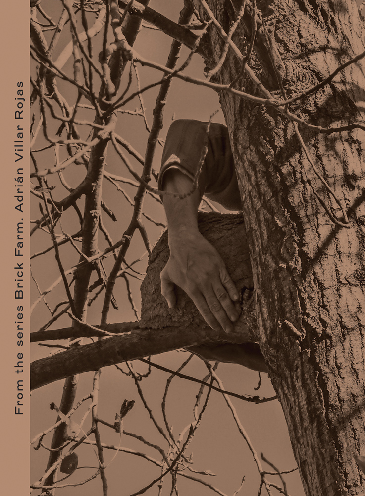 Adrián Villar Rojas: From the Series Brick Farm - ARTBOOK