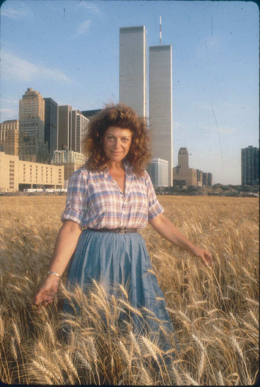 Agnes Denes: Absolutes and Intermediates - ARTBOOK|D.A.P.