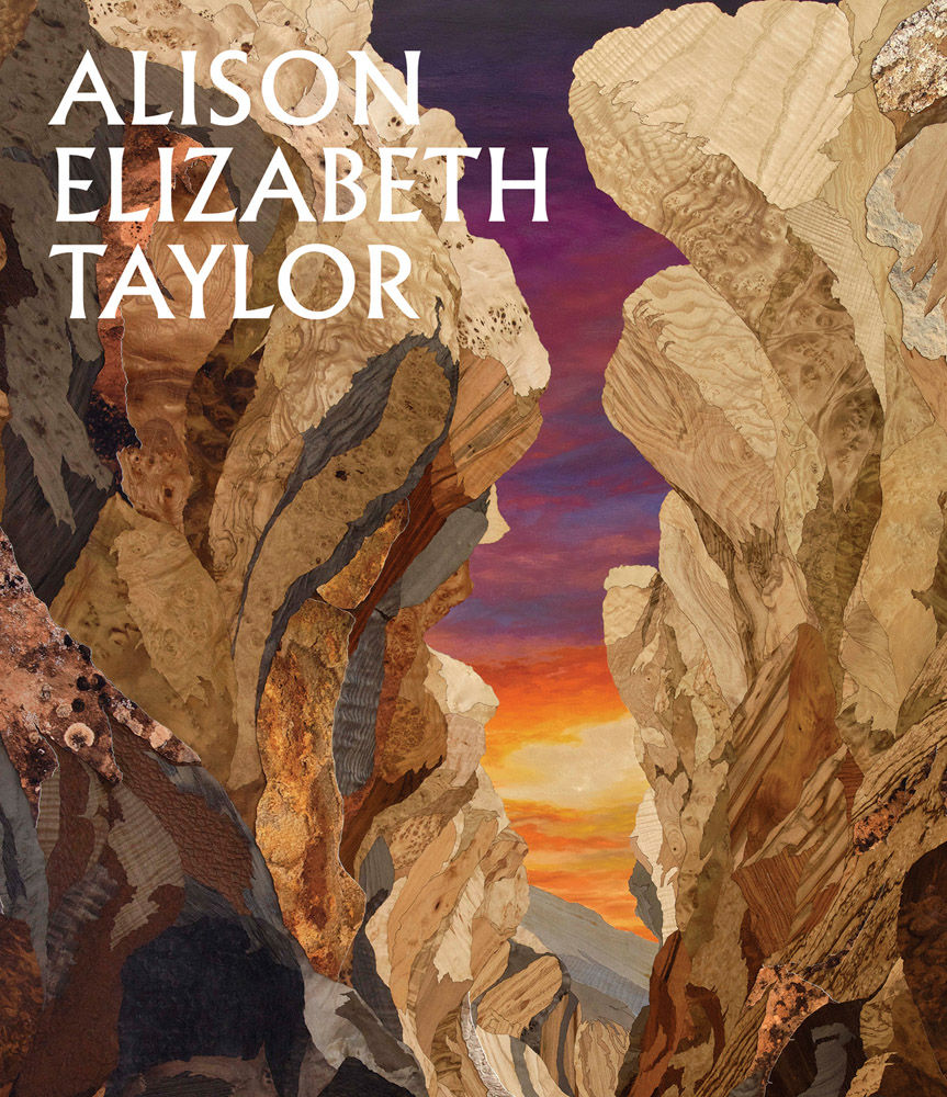 Alison Elizabeth Taylor: The Sum of It - ARTBOOK|D.A.P.