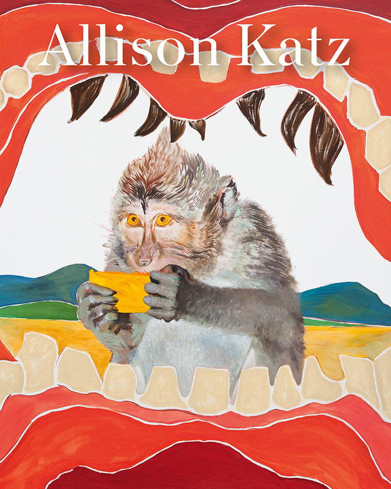 Allison Katz - ARTBOOK|D.A.P.