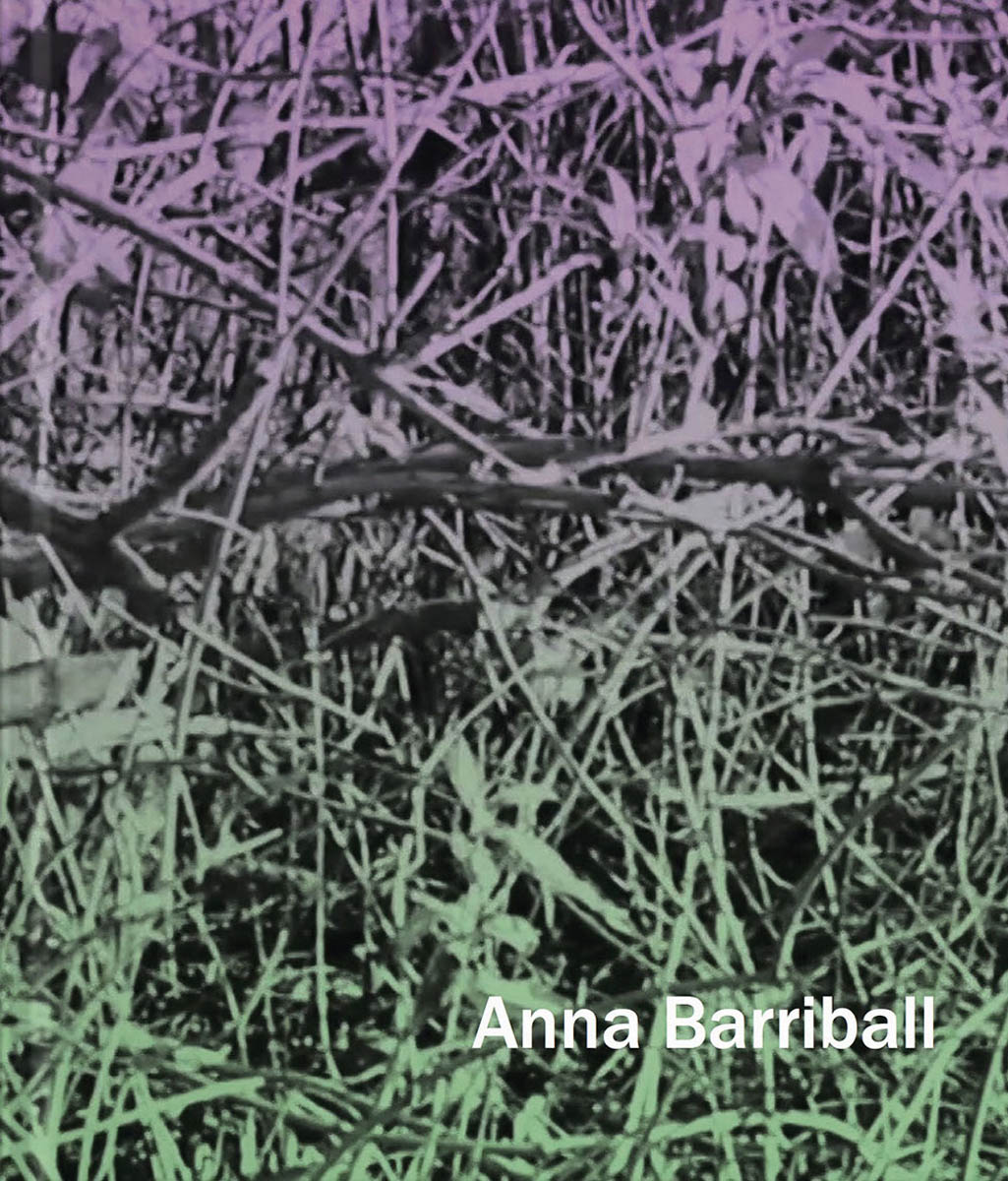 Anna Barriball - ARTBOOK|D.A.P.