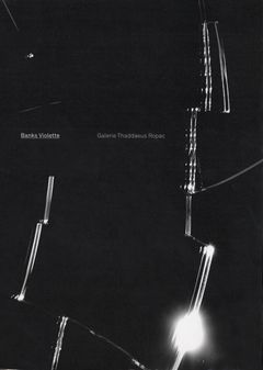 Banks Violette - ARTBOOK|D.A.P.