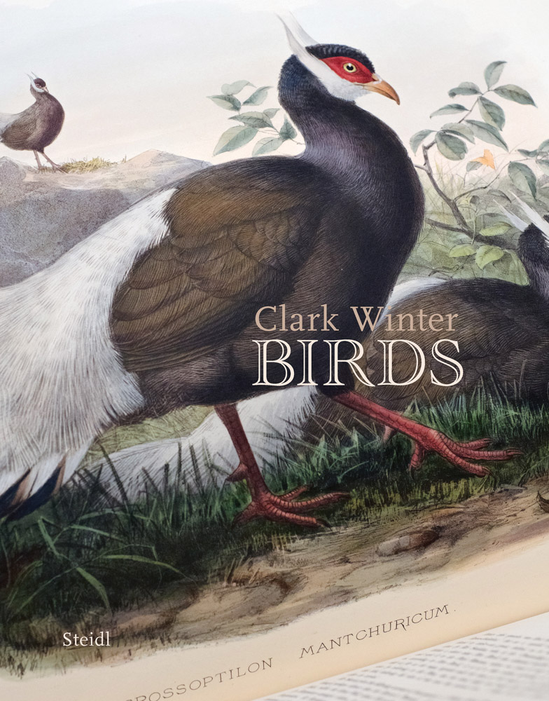 Clark Winter: Birds - ARTBOOK|D.A.P.
