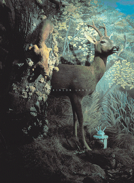Conrad Atkinson: Landescapes - ARTBOOK|D.A.P.