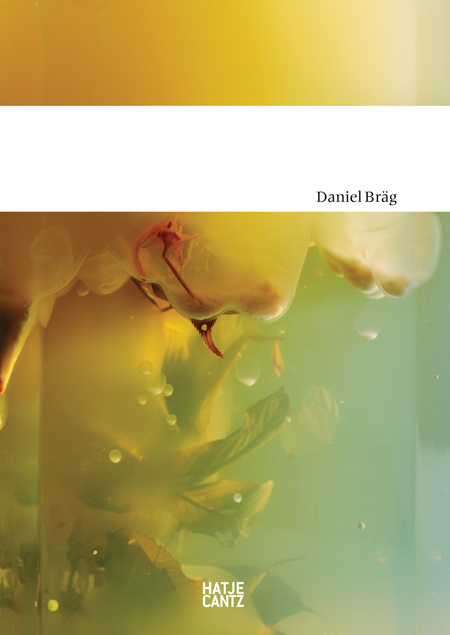 Daniel Bräg - ARTBOOK|D.A.P.