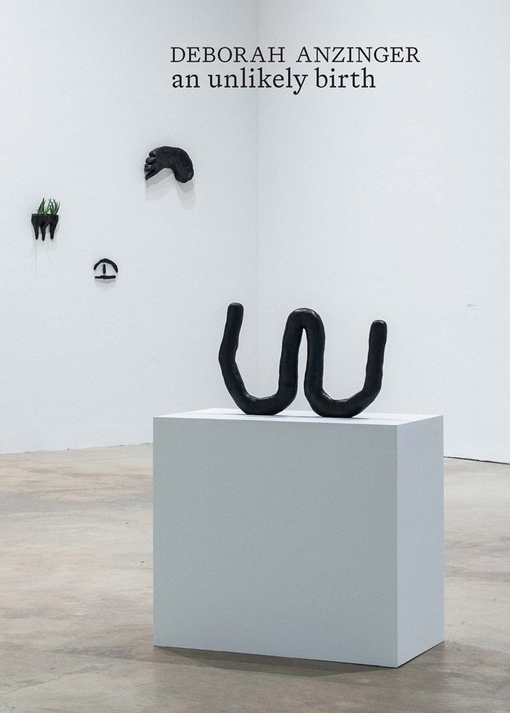 Deborah Anzinger: An Unlikely Birth - ARTBOOK|D.A.P.