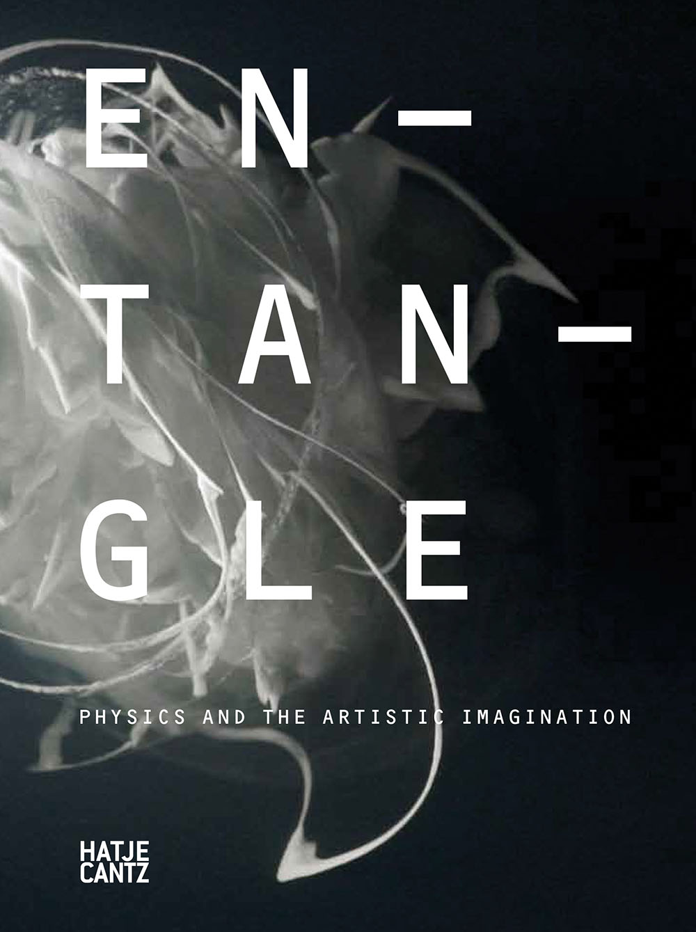 Entangle: Physics and the Artistic Imagination - ARTBOOK