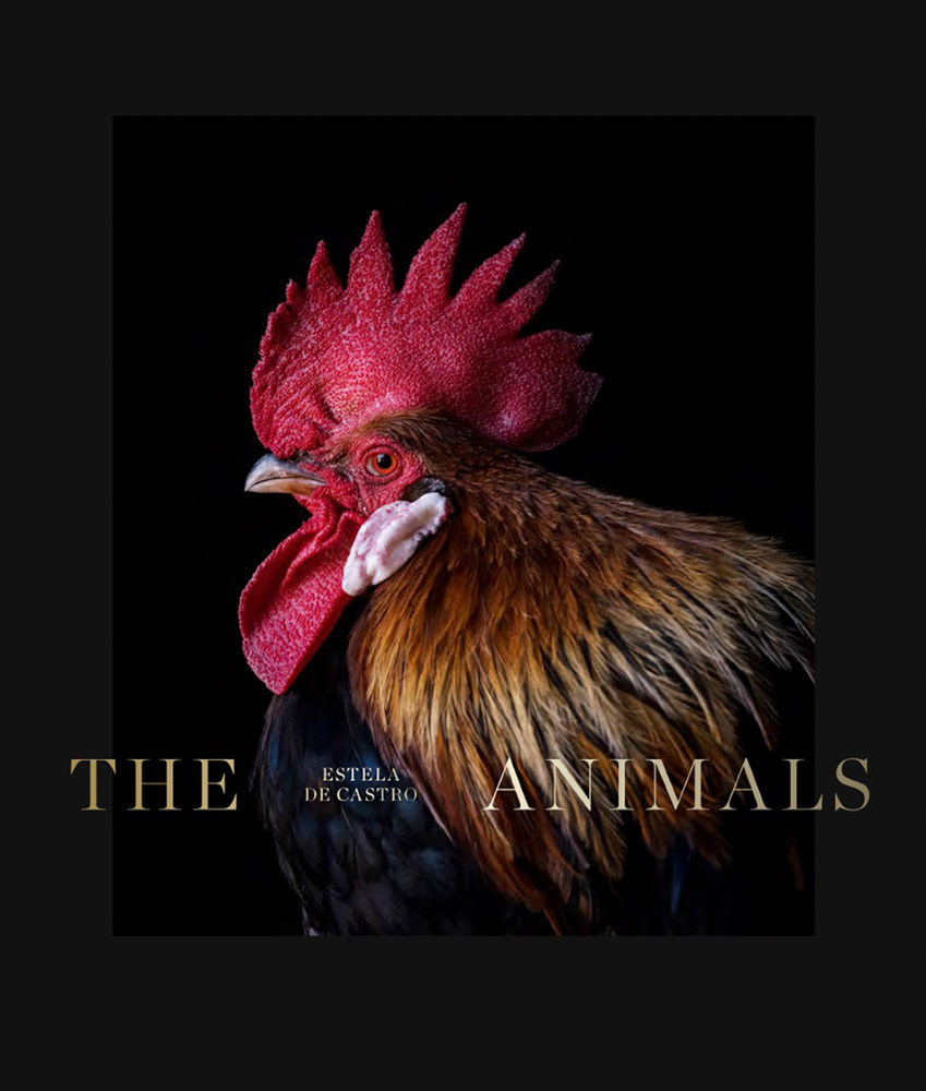 Estela de Castro: The Animals - ARTBOOK|D.A.P.
