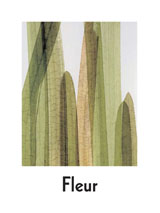 Fleur Olby: Plant Portraits - ARTBOOK|D.A.P.