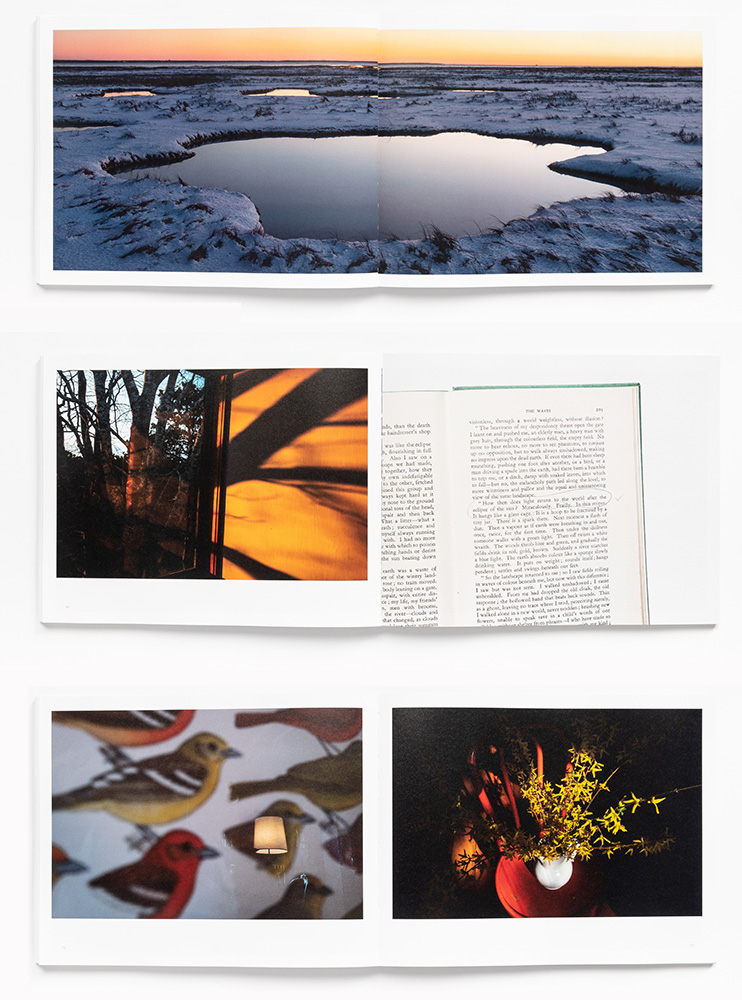 Gorgeous, contemplative and poetic. ‘Alex Webb & Rebecca Norris Webb ...