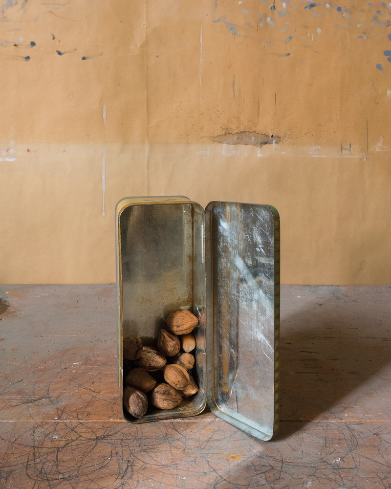 Joel Meyerowitz: Morandi's Objects - ARTBOOK|D.A.P.