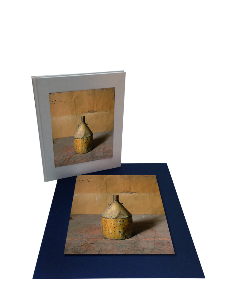 Joel Meyerowitz: Morandi's Objects - ARTBOOK|D.A.P.