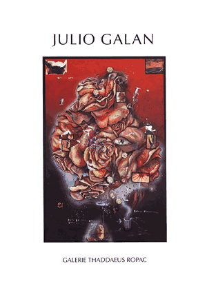 Julio Galan - ARTBOOK|D.A.P.