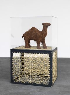 Lisa Lapinski: Miss Swiss - ARTBOOK|D.A.P.