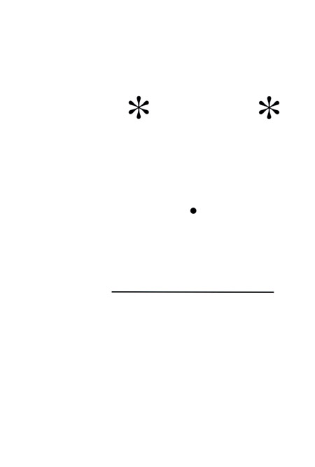 Lisa Lapinski: MOCA Focus - ARTBOOK|D.A.P.