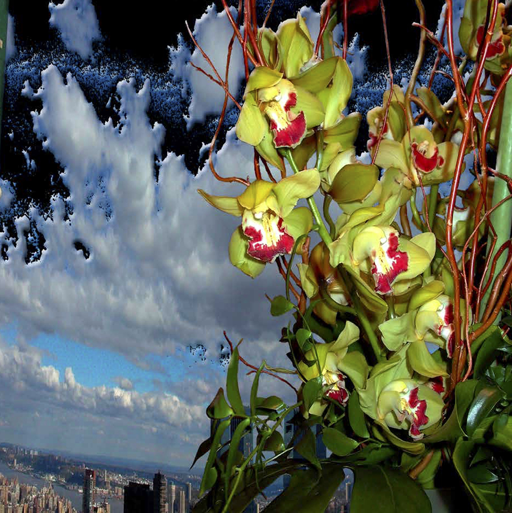 Lucas Samaras: Flowers - ARTBOOK|D.A.P.