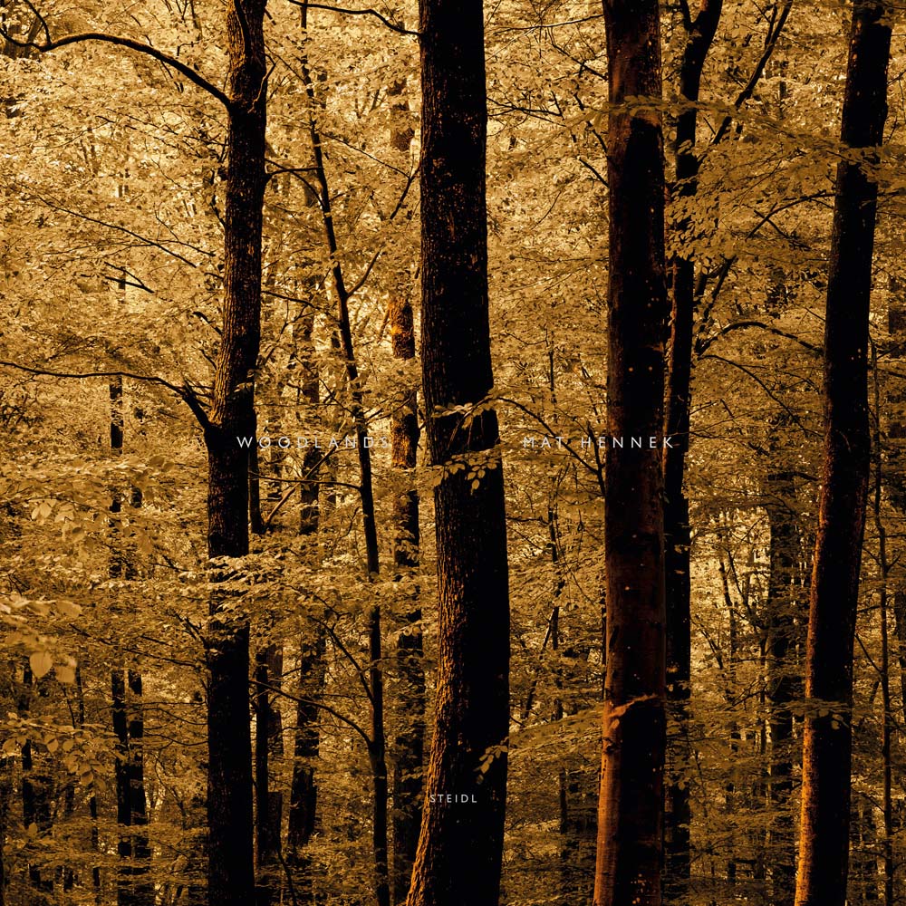 Mat Hennek: Woodlands - ARTBOOK|D.A.P.