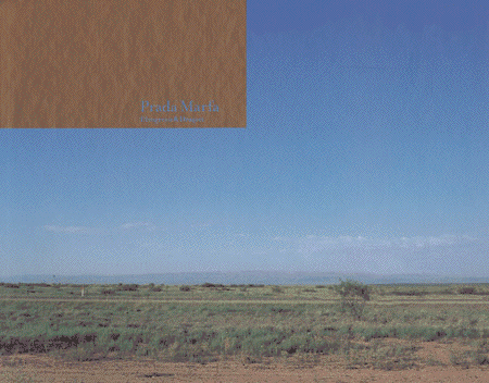 Michael Elmgreen & Ingar Dragset: Prada Marfa - ARTBOOK