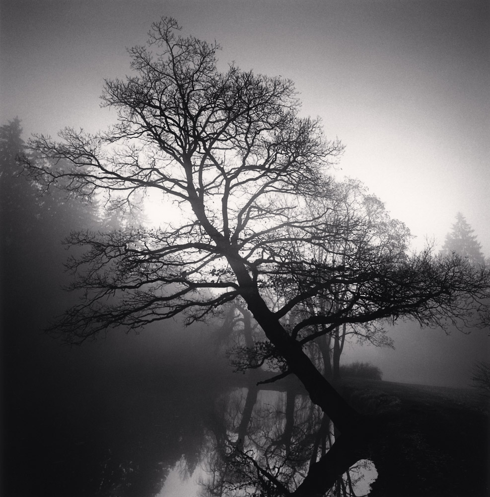Michael Kenna: Trees - ARTBOOK|D.A.P.