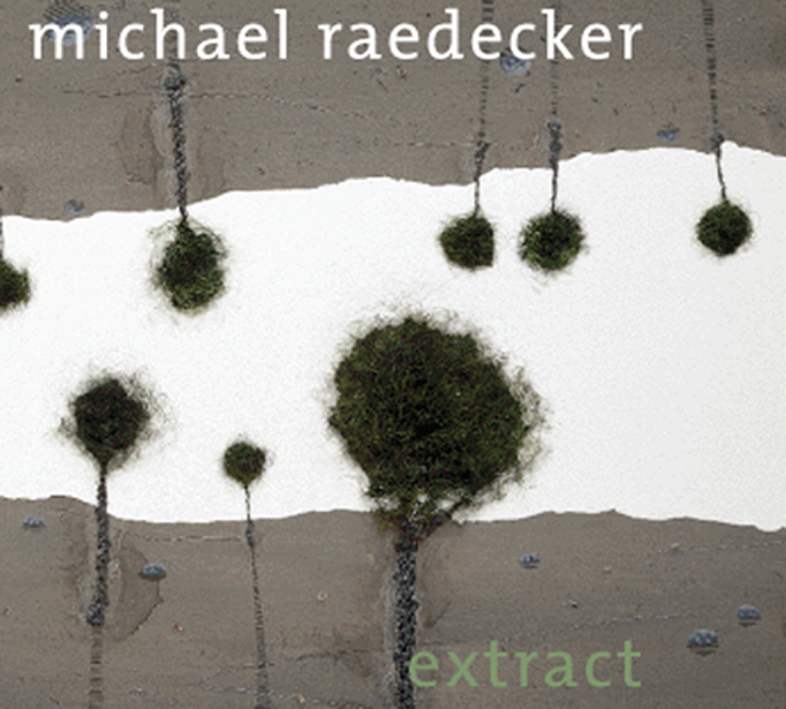 Michael Raedecker - ARTBOOK|D.A.P.
