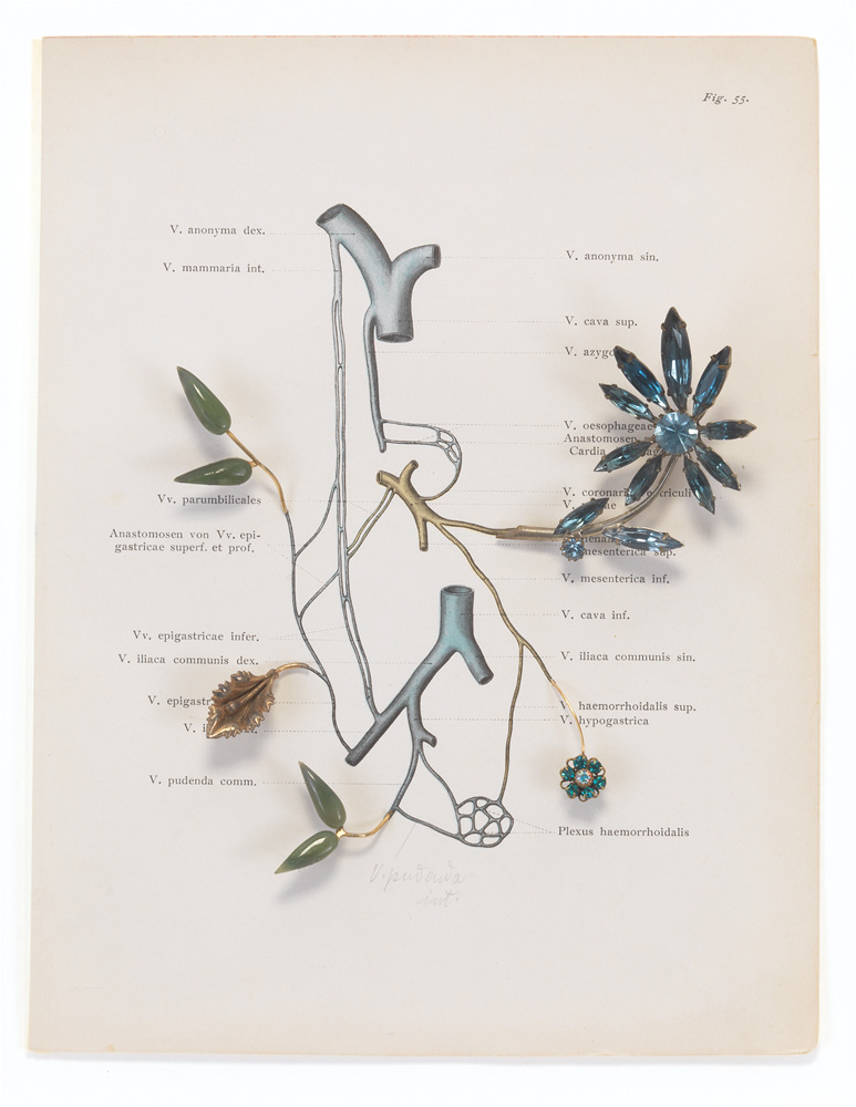 Monograph as memoir in Eric Rhein's poetic 'Lifelines'