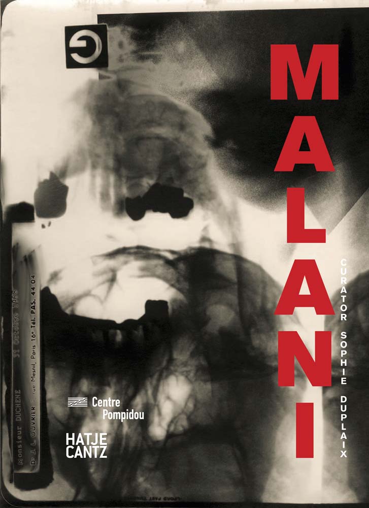 Nalini Malani: Malani - ARTBOOK|D.A.P.