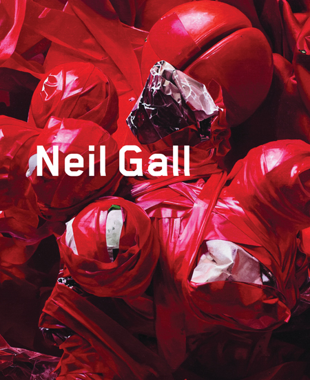 Neil Gall: Works 2007-2011 - ARTBOOK|D.A.P.
