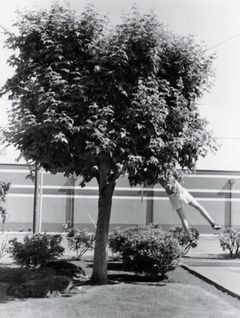 Nick Haymes: GABEtm - ARTBOOK|D.A.P.