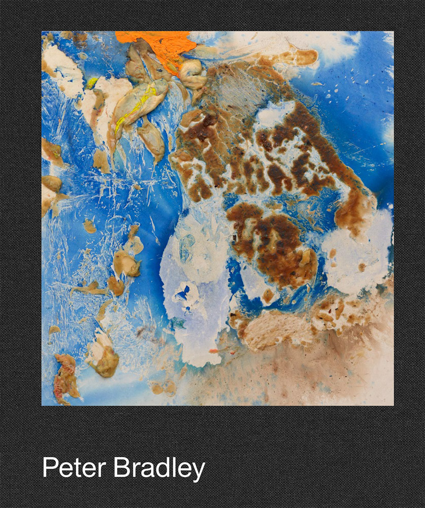 Peter Bradley - ARTBOOK|D.A.P.