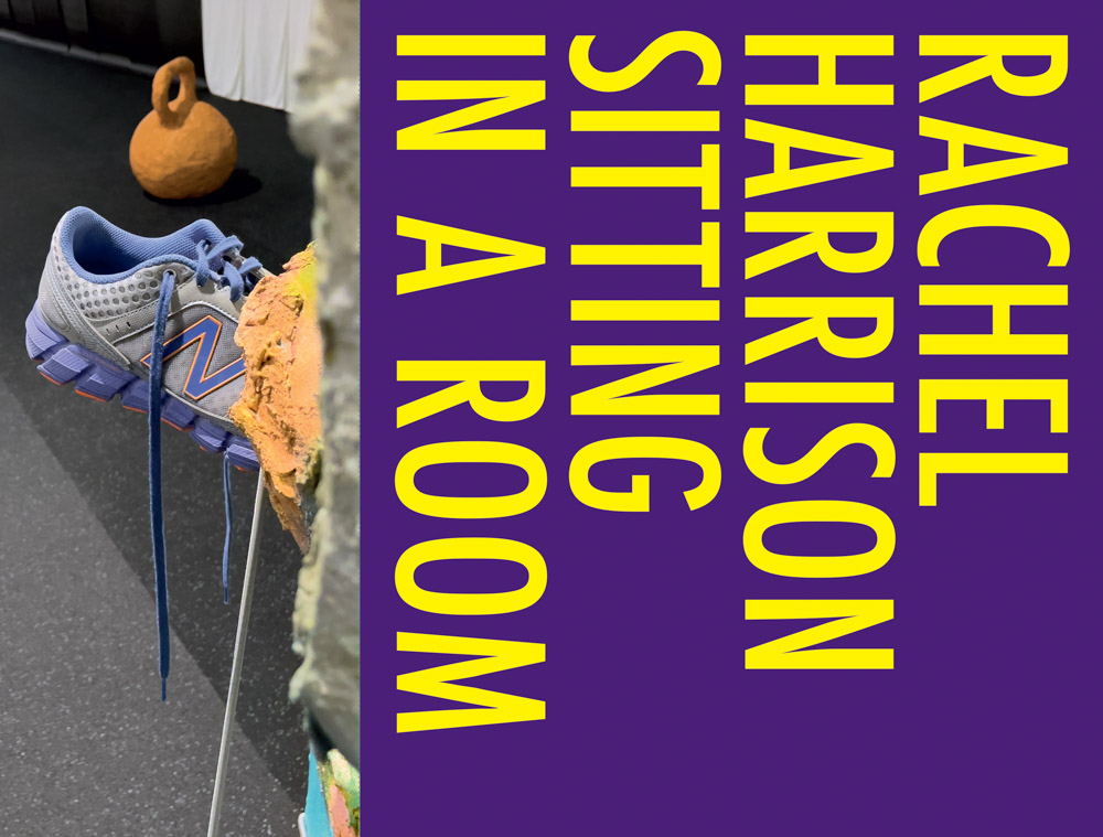 Rachel Harrison: Sitting in a Room - ARTBOOK|D.A.P.