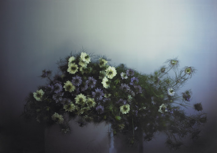 Richard Learoyd: Day for Night - ARTBOOK|D.A.P.