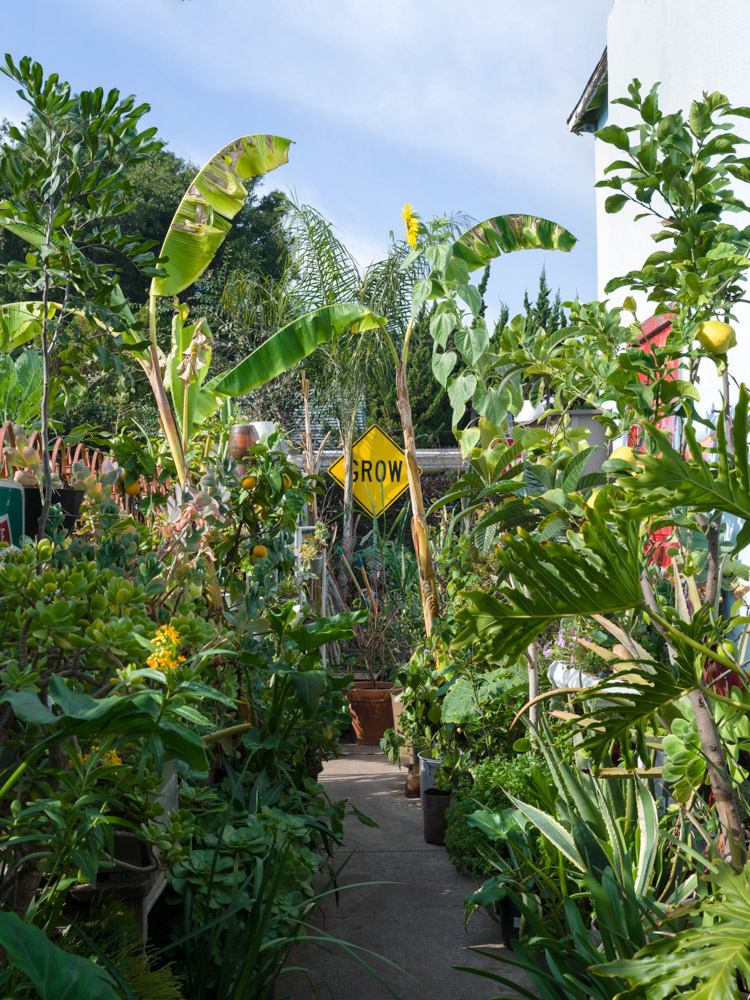 Ron Finley: The Gangsta Gardener - ARTBOOK|D.A.P.