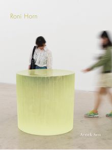 Roni Horn Art Monographs and Museum Exhibition Catalogs