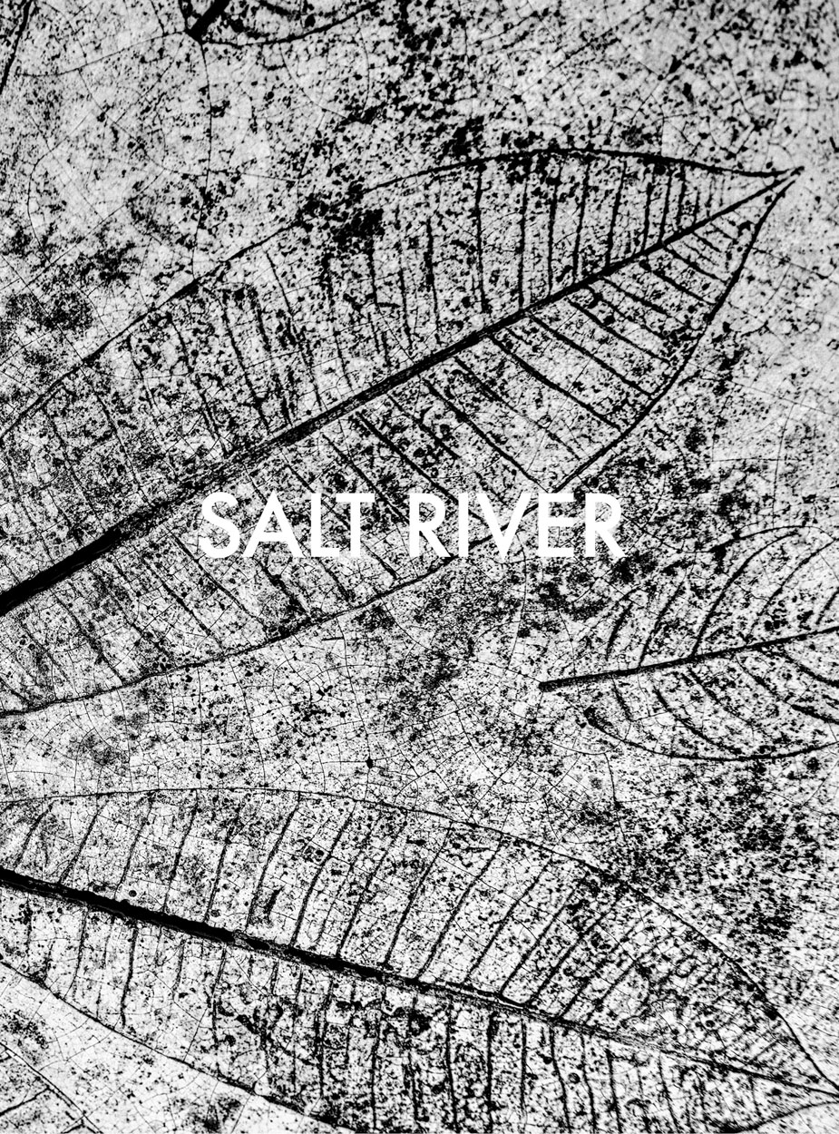 Sebastian Posingis: Salt River - ARTBOOK|D.A.P.