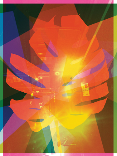 Shirana Shahbazi: Monstera - ARTBOOK|D.A.P.