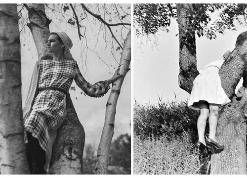 The deceptive simplicity of Women in Trees