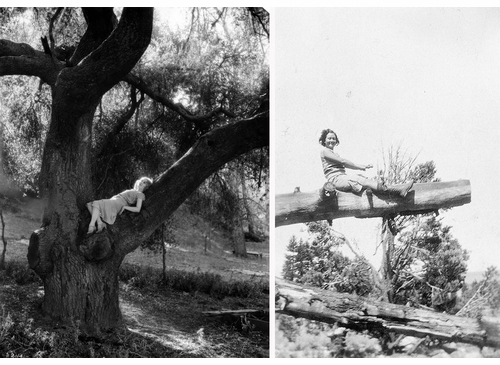 The deceptive simplicity of Women in Trees