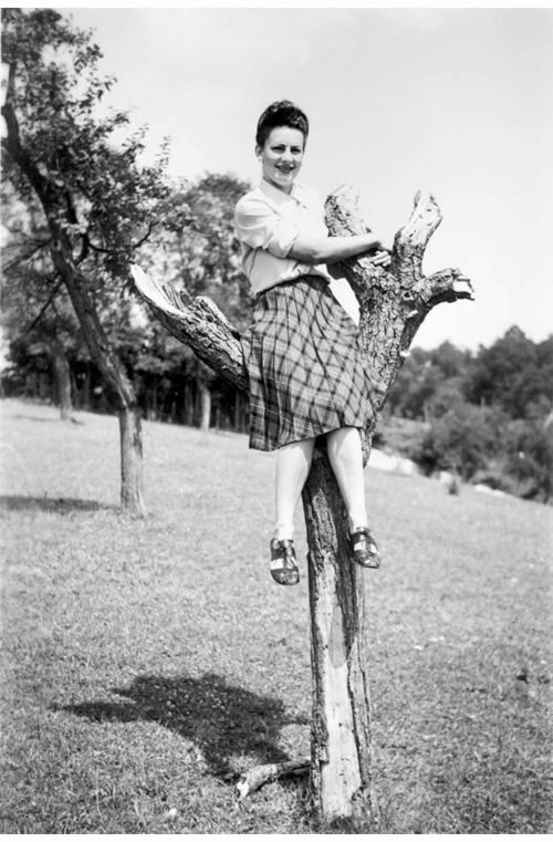 The deceptive simplicity of Women in Trees