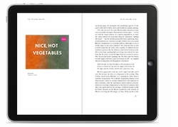 ARTBOOK Digital Ebook Edition The Invisible Dragon